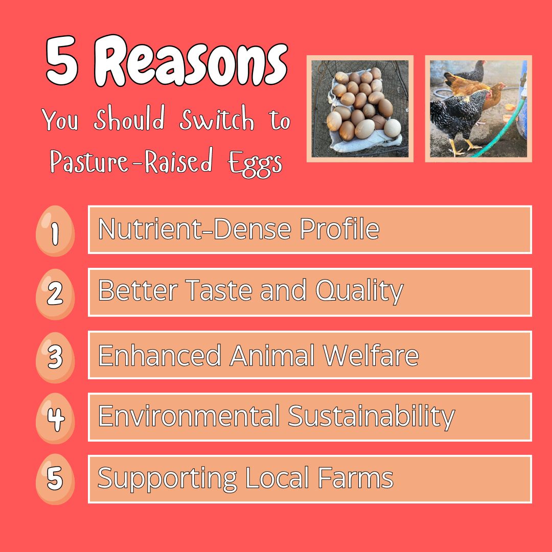 The Top 5 Benefits of Pasture-Raised Eggs: Why They’re Worth the Switch ...